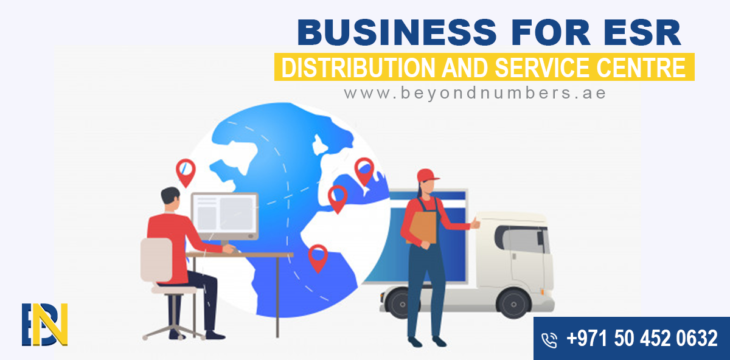 Distribution and Service Centre Business for ESR - Beyond Numbers