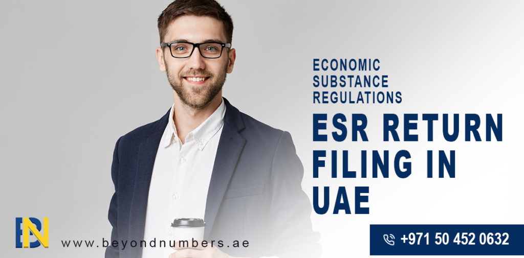 ESR Return Filing in UAE- Economic Substance Regulations - Beyond Numbers