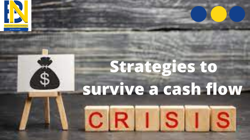 Strategies to survive a cash flow crisis - Beyond Numbers